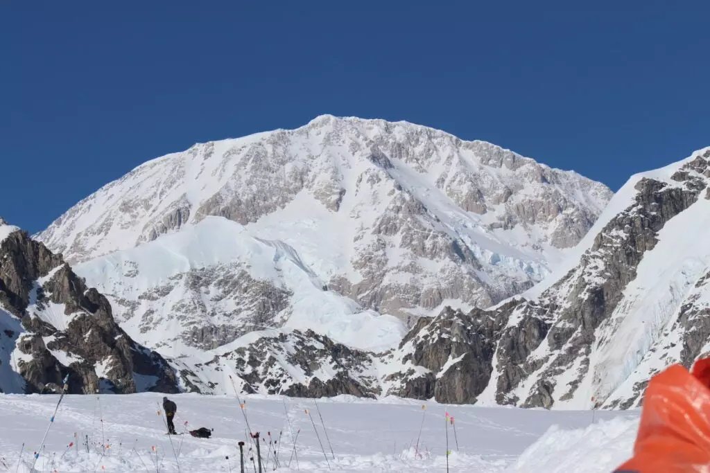 Denali Kéngingkeun Jangkung Anyar (Leutik) Kalayan Ngaran Anyar 27685_2