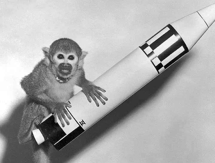 One Small Pawprint: Meet the Astro-Animals That Got Before Space Monkey του Ιράν 28429_2