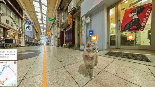 Japan hat die weltweit erste Katzen-Straßenansicht gemacht