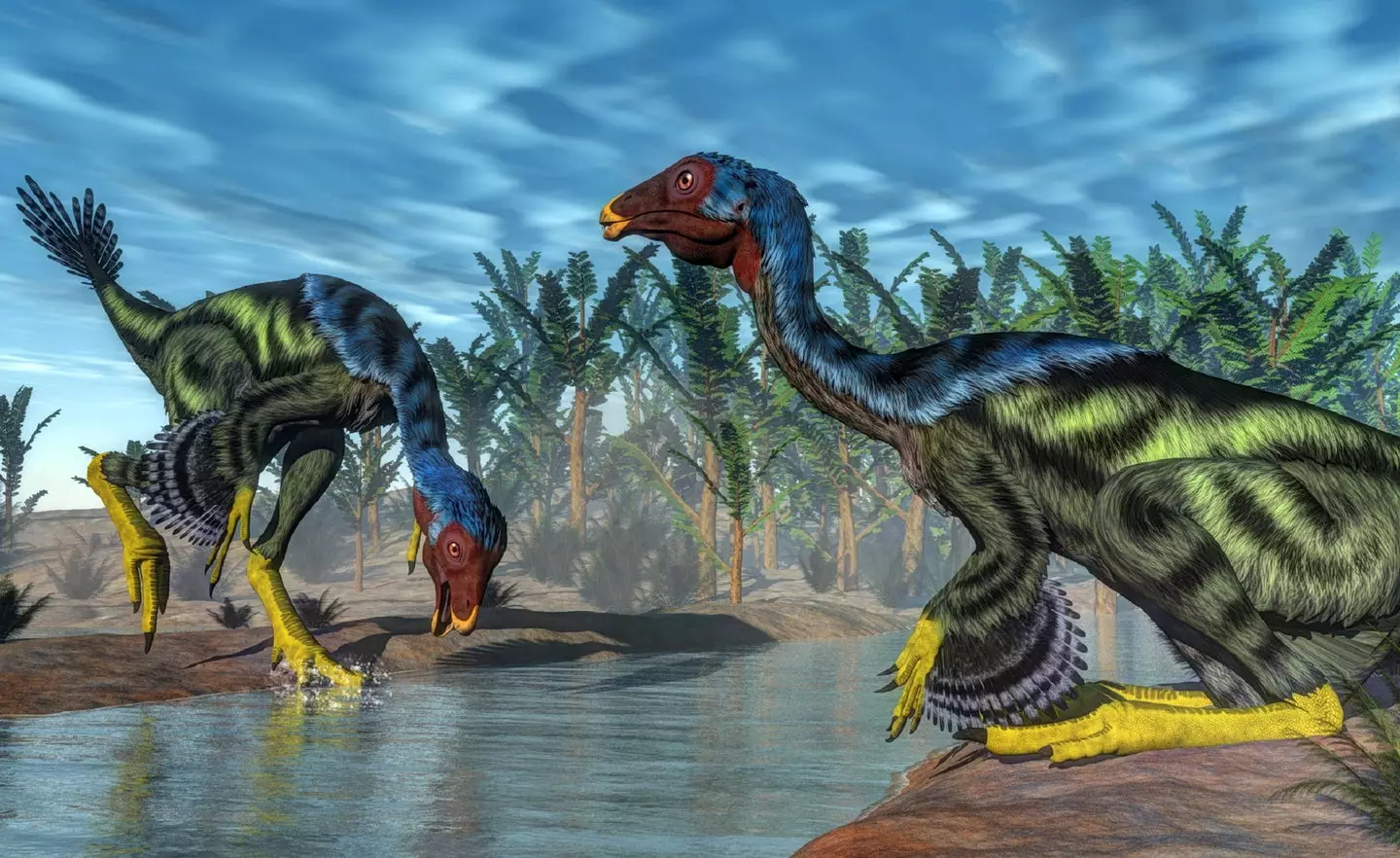 Gefiederte Caudipteryx-Dinosaurier, die vor dem Einschlag des Asteroiden zwischen Palmen aus einem sandigen Fluss tranken