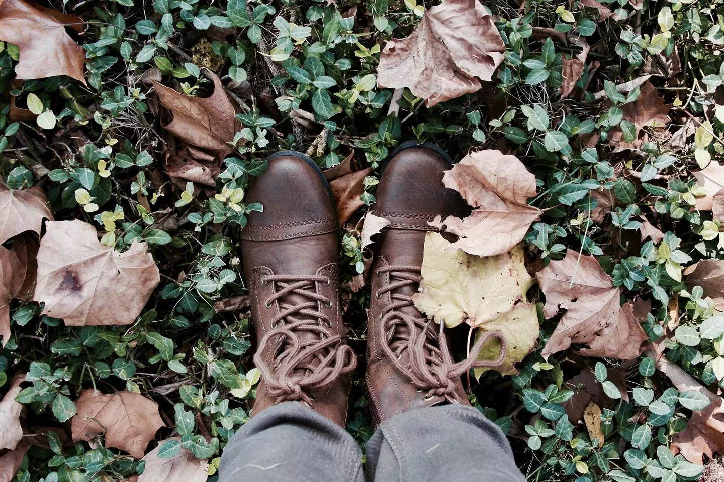 bottes debout sur l'herbe avec des feuilles autour d'eux