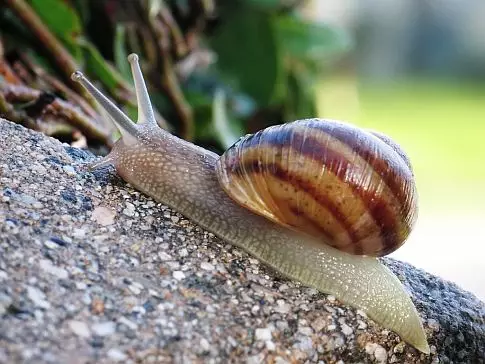 האטו ותהנו מהעולם הוירטואלי עכשיו 33805_1