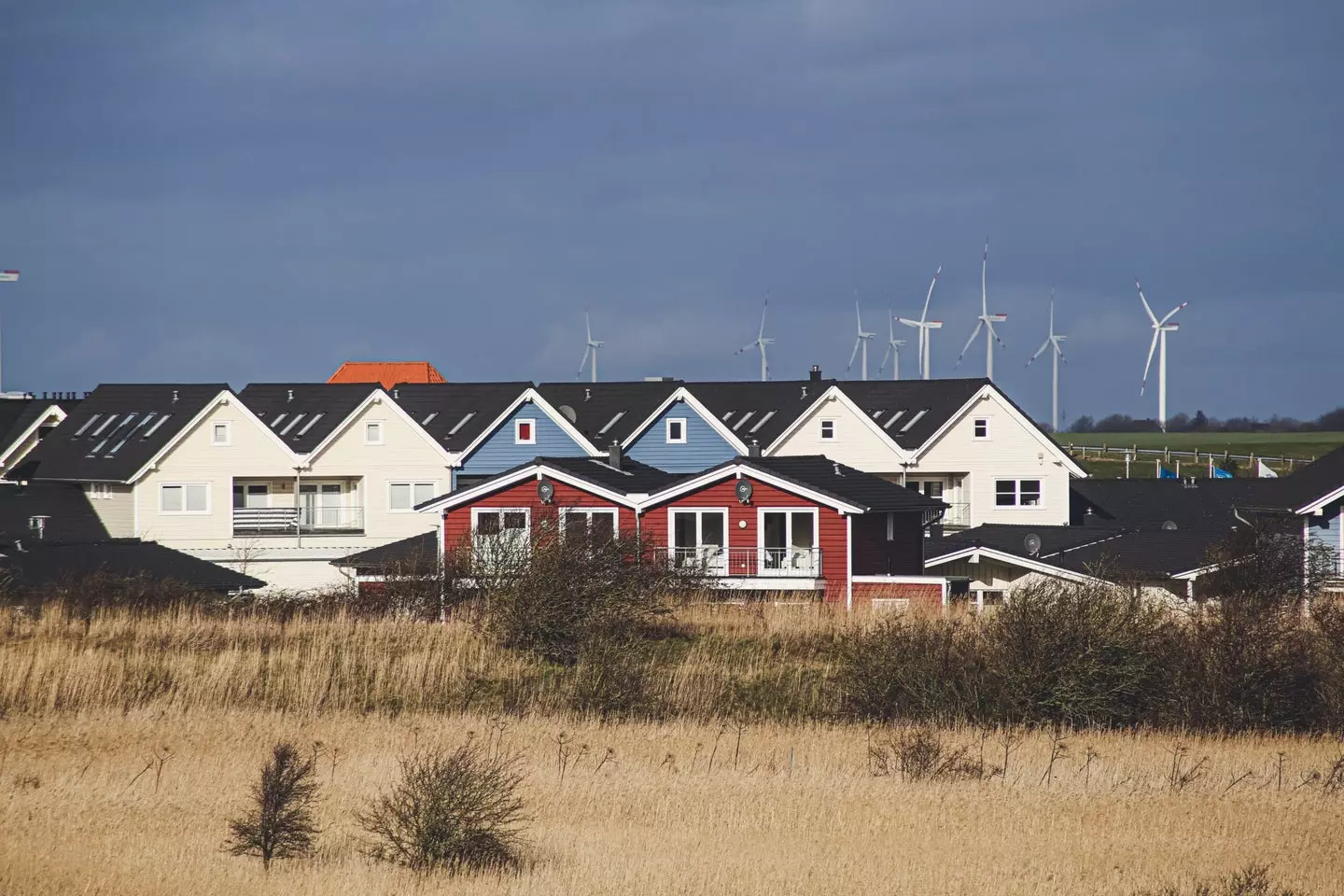 Grasveld met huise en windturbines in die agtergrond.