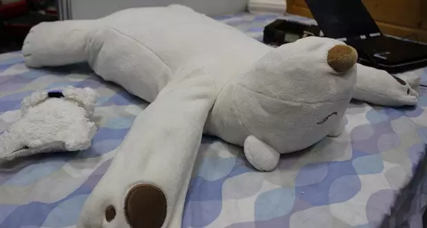 Video: Japanese Robotic Polar Dais Maj mam Smacks Snorers nyob rau hauv lub ntsej muag 52043_1