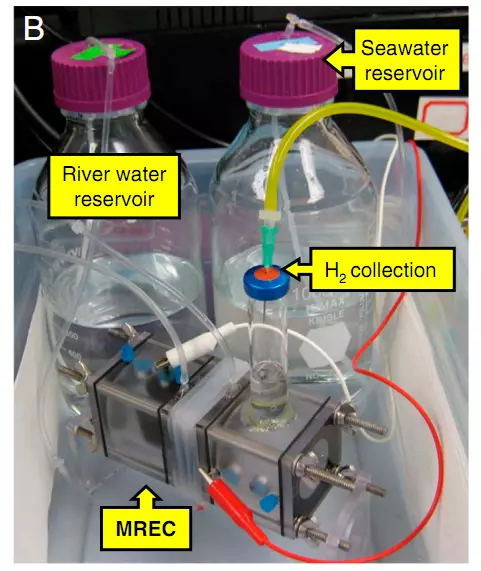 স্ব-চালিত মাইক্রোবিয়াল ফুয়েল সেল সীমাহীন হাইড্রোজেন সরবরাহ করতে পারে 6718_1