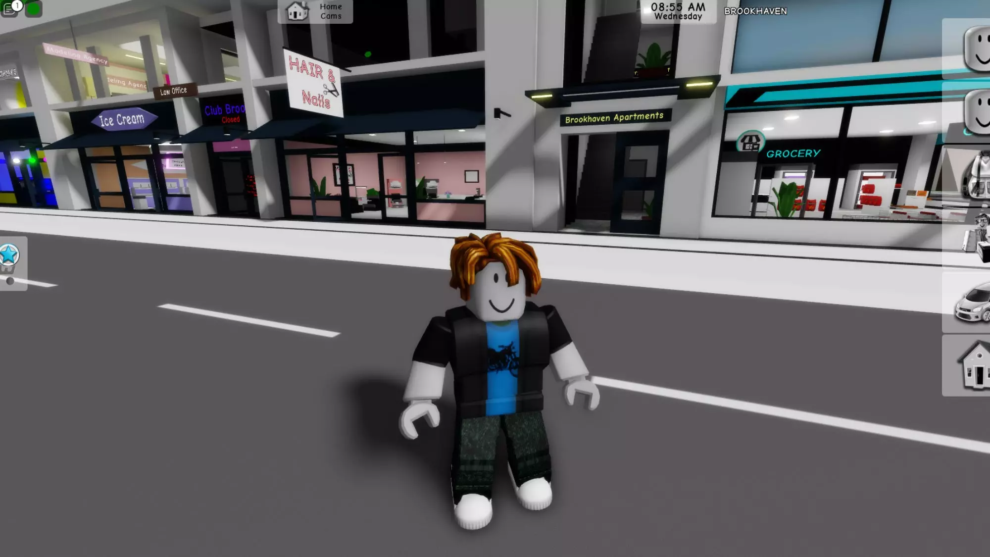 Leiðbeiningar foreldra um hinn víðfeðma heimi Roblox